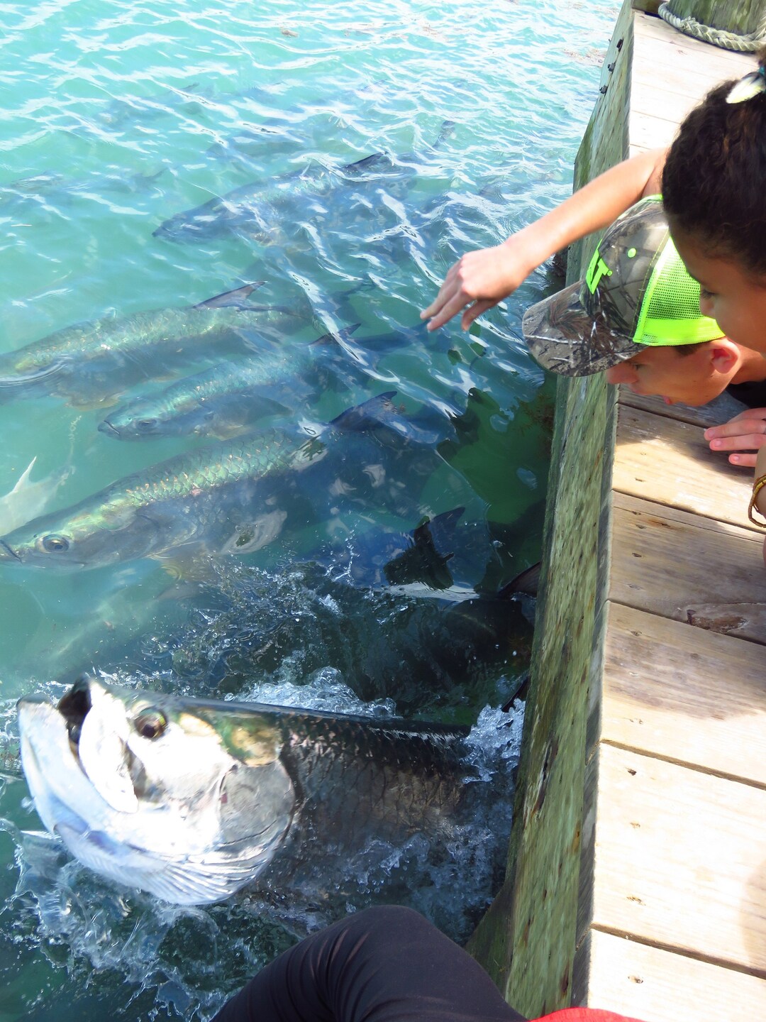 Tarpon Jumping Out of the Water-digital Download Art Prints - Etsy UK