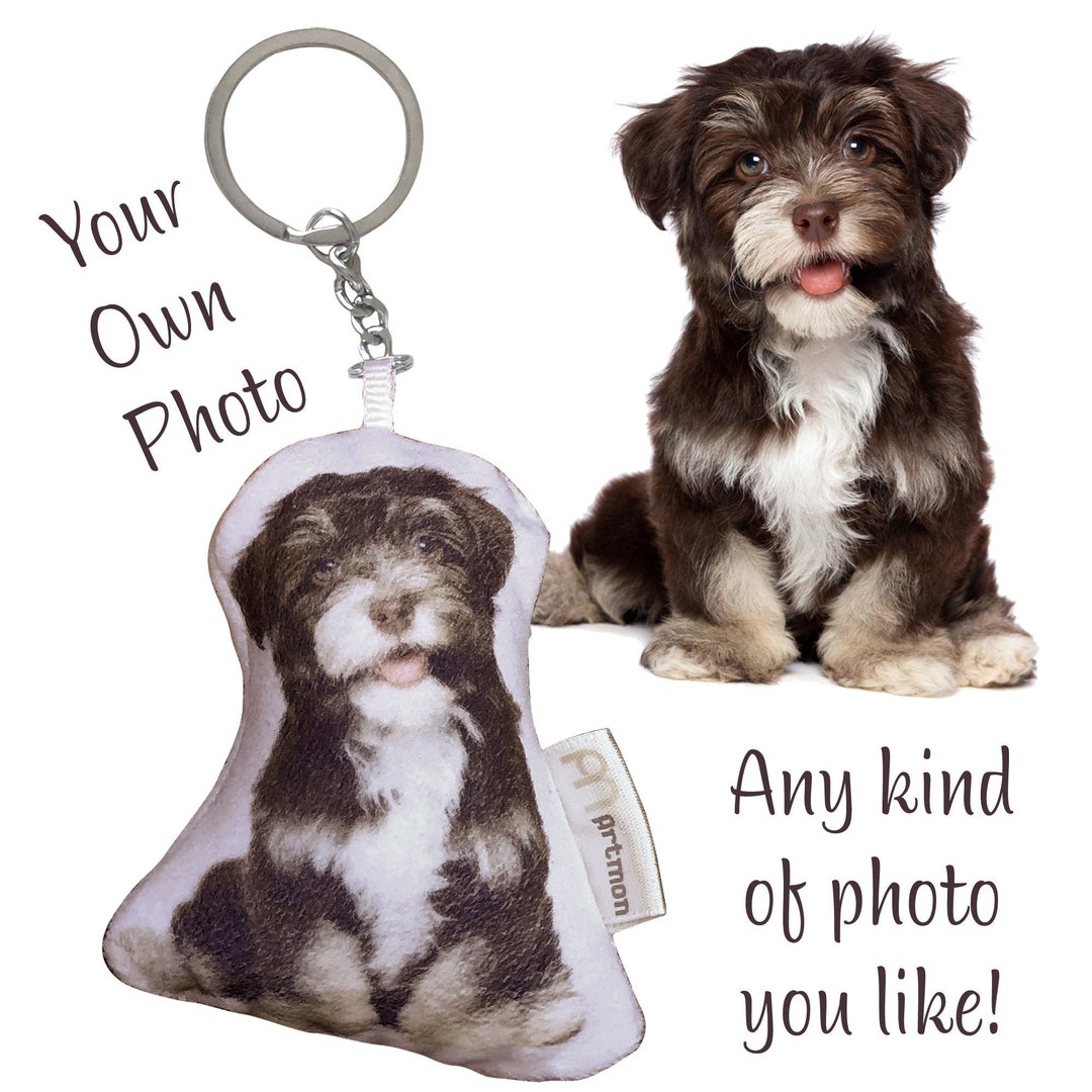 Photo Key Chain | Personalized Name and Photo Keychains | Put Your Pet ...