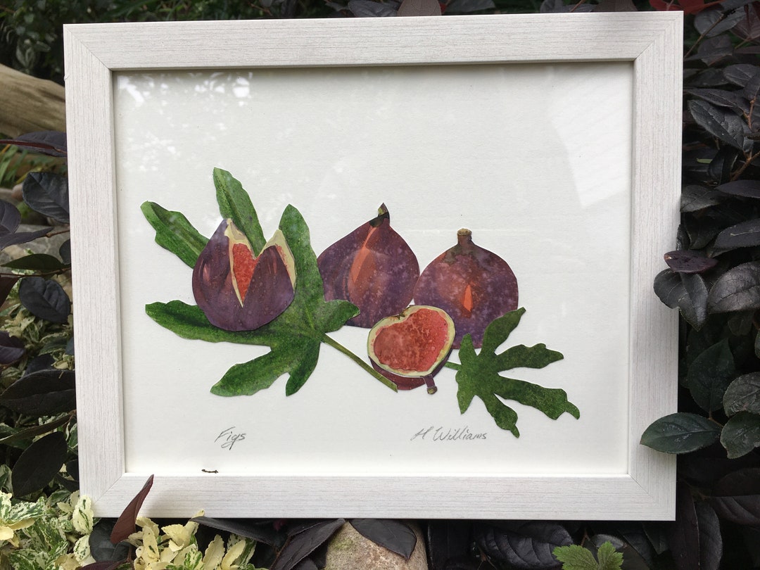 Figs Original Framed Collage - Etsy