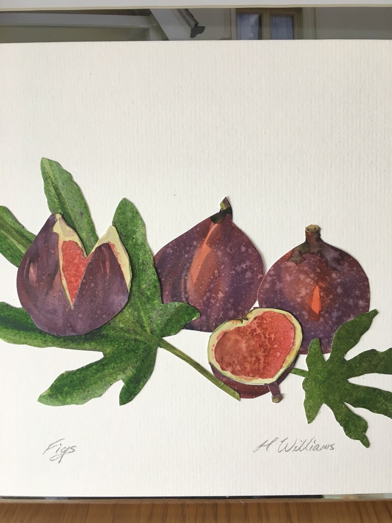 Figs Original Framed Collage - Etsy