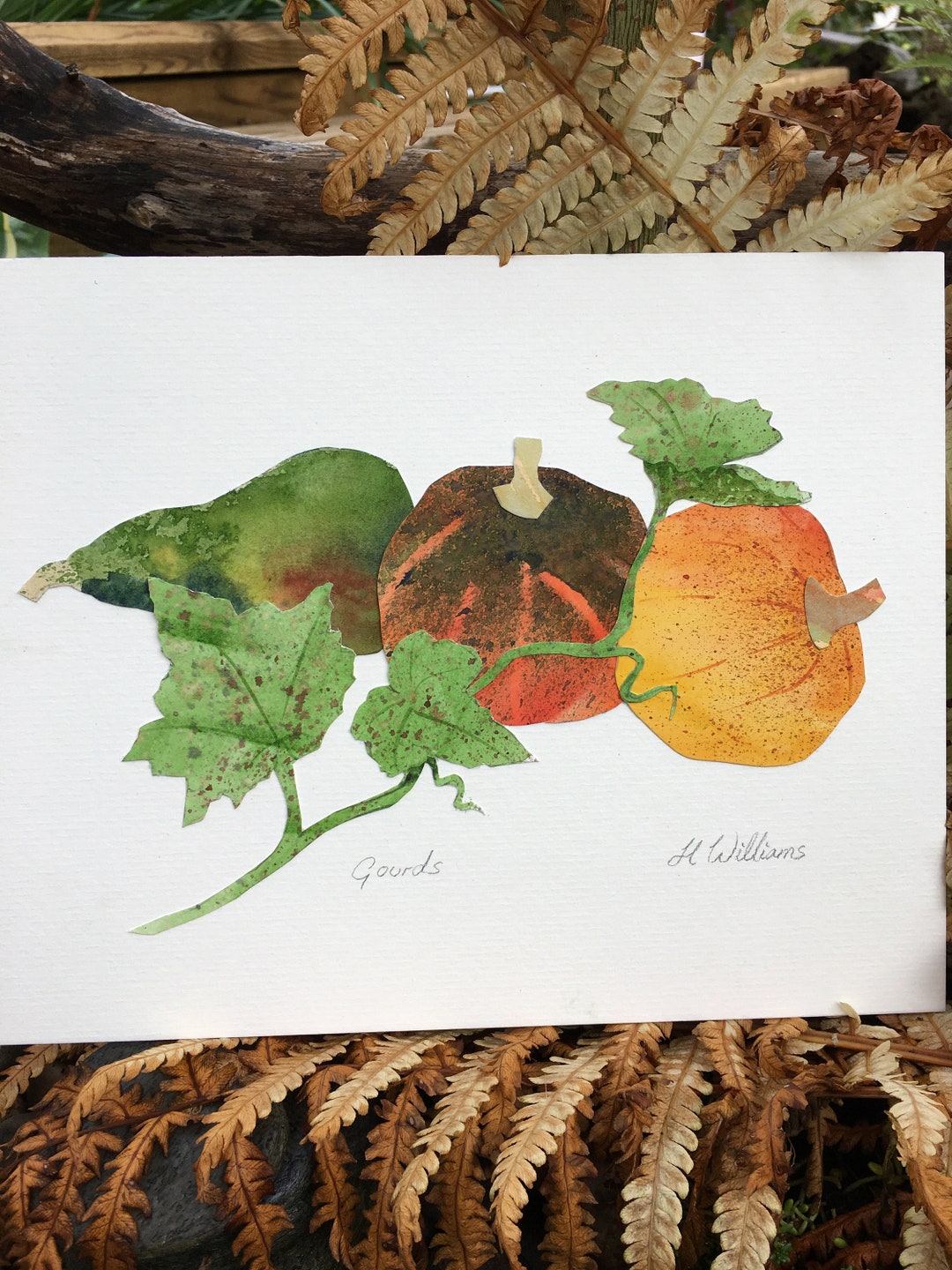 Gourds Original Framed Collage. - Etsy