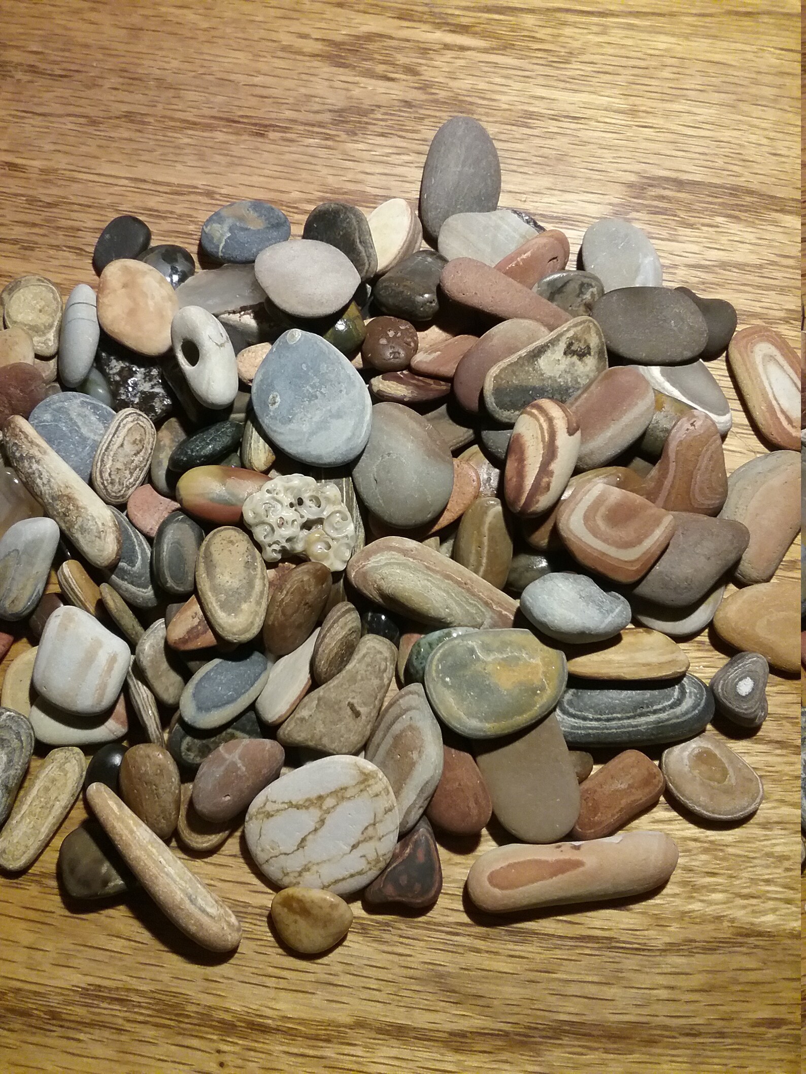 75 100 ct. Tiny / Small Beach Stones Pebble Art Arts & | Etsy