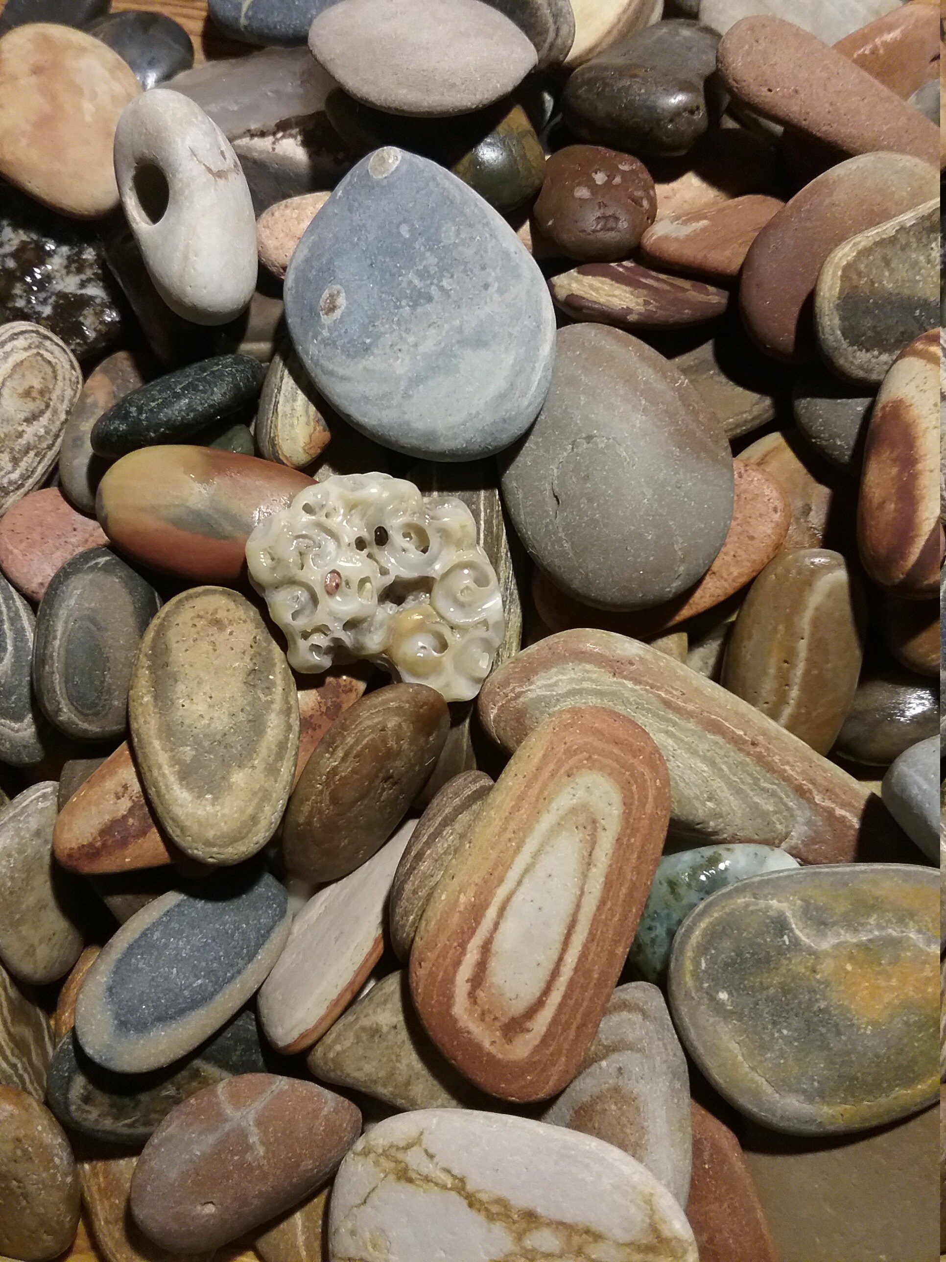 75 100 ct. Tiny / Small Beach Stones Pebble Art Arts & | Etsy