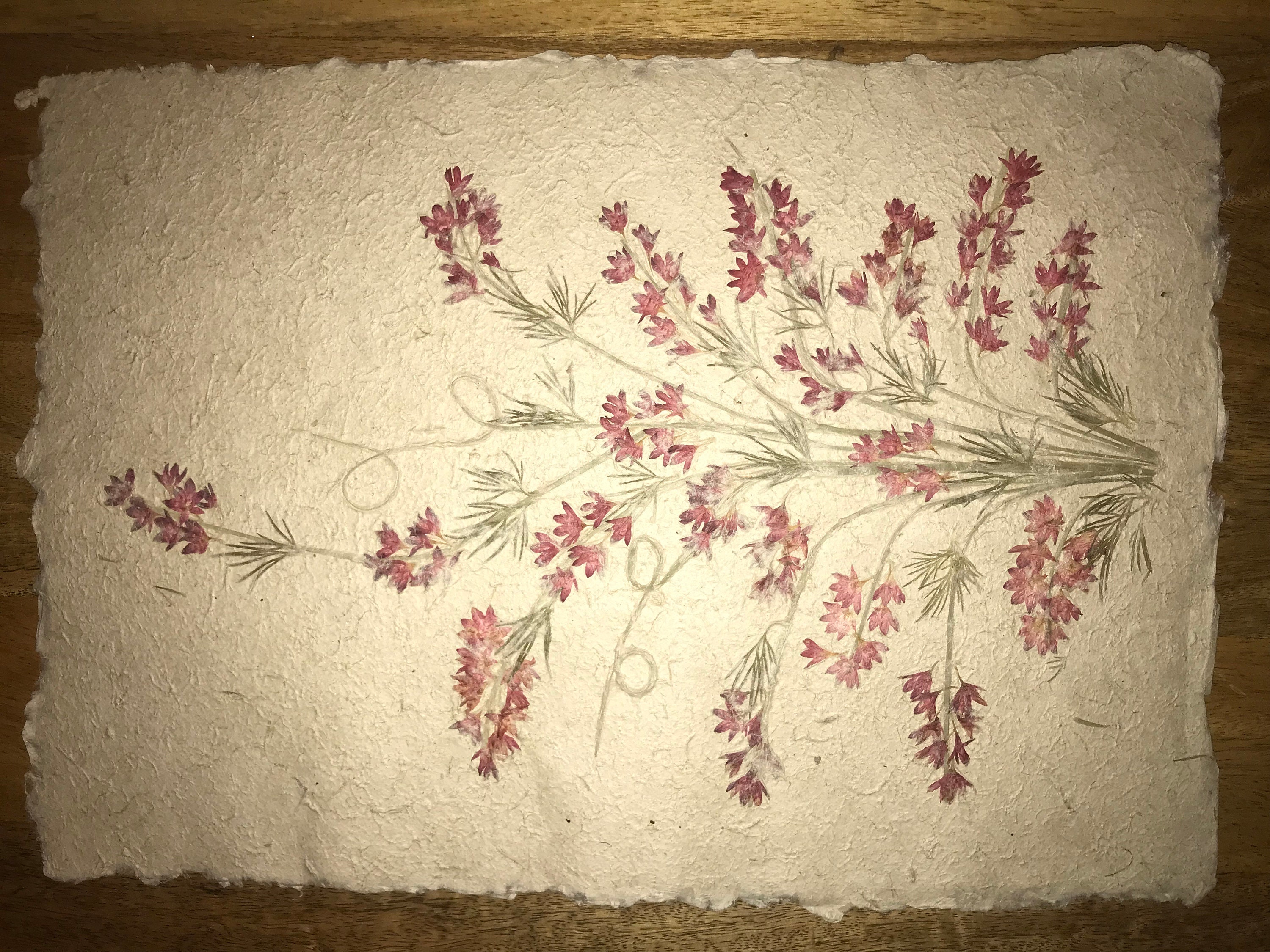 Flower Paper Madagascar Art - Etsy