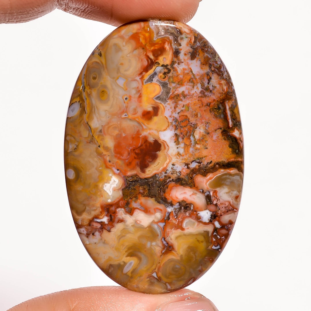 Immaculate A One Quality Natural Palm Root Agate Oval Shape Cabochon ...