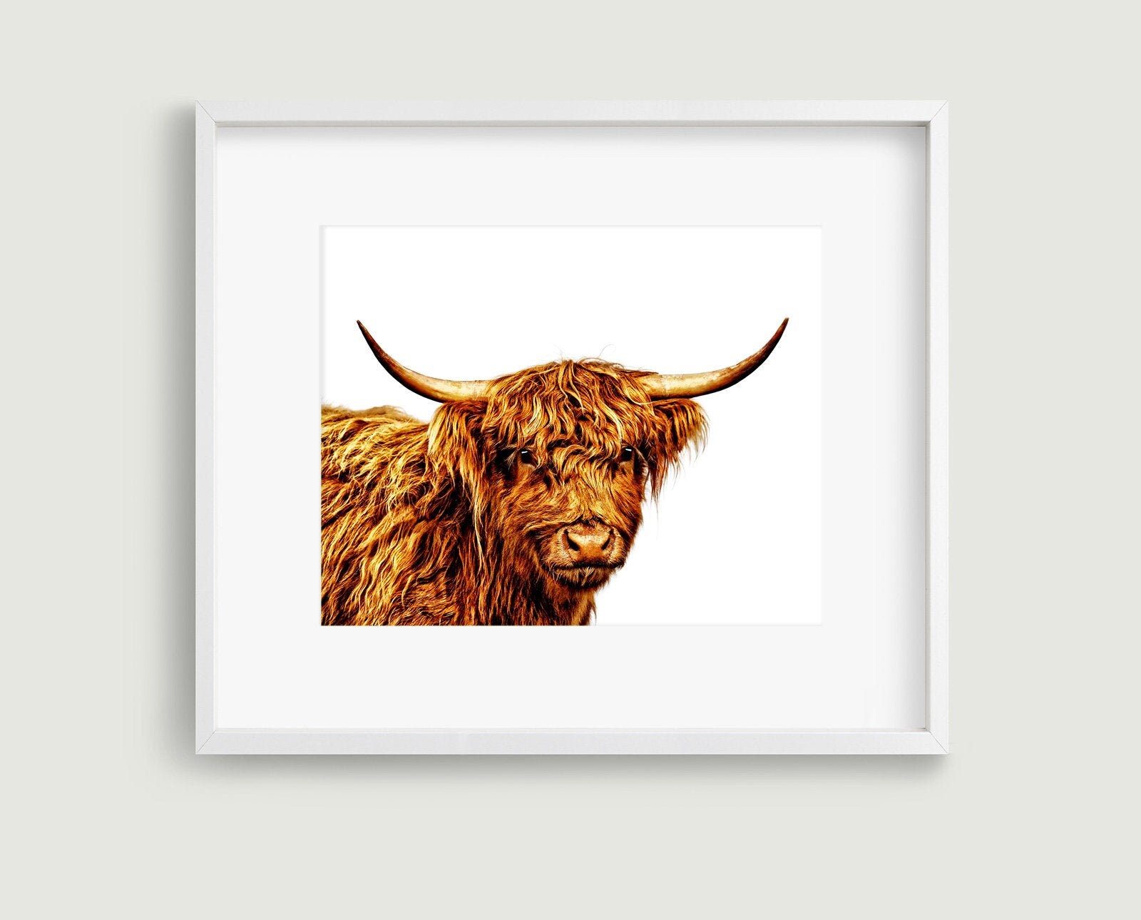Highland Cow Wall Decor Highland Cow Poster Wall decor Wildlife Photo ...