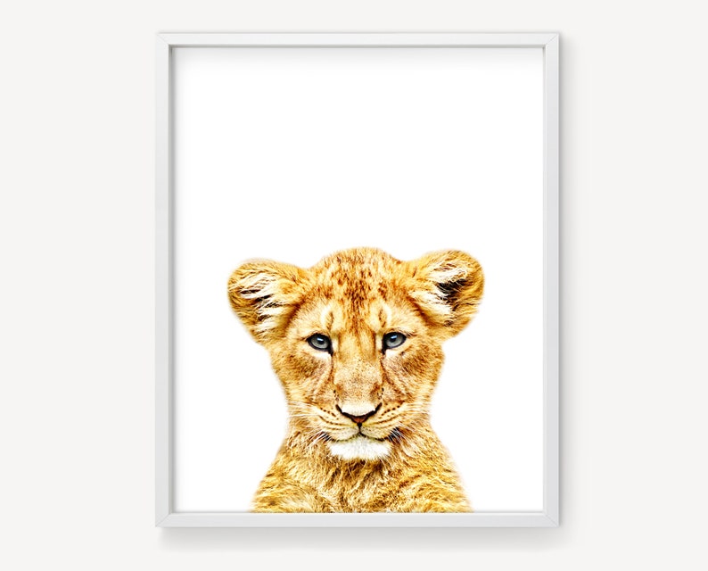Lion Cub Printable Safari Nursery Decor Wall Art. Lion Poster - Etsy