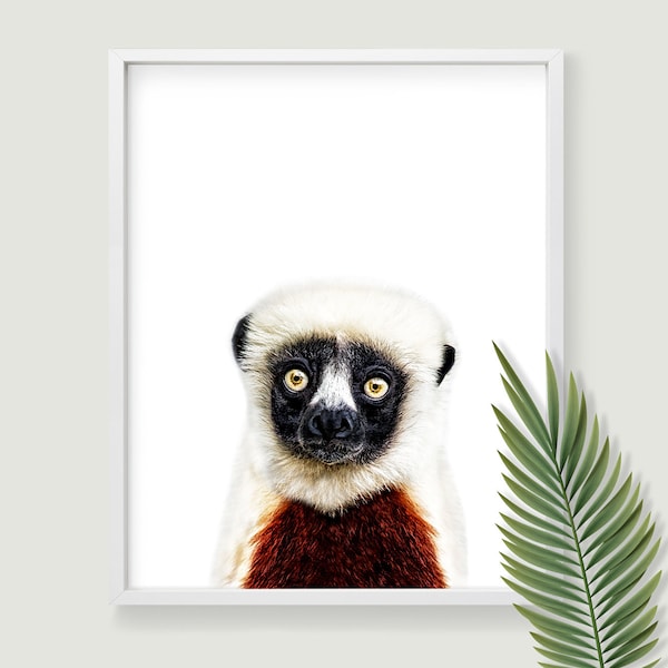 Lemur Print - Etsy