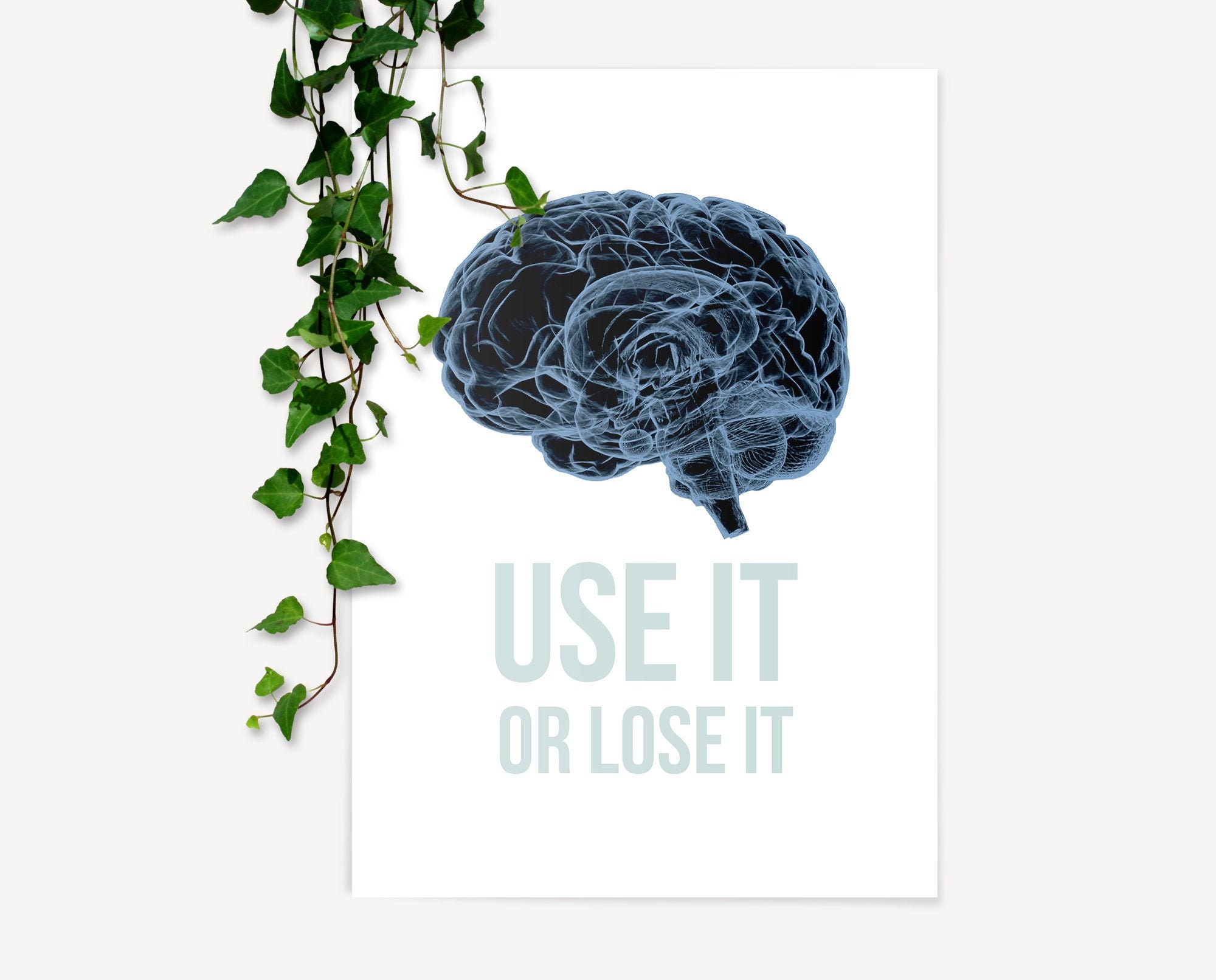 A Printable Brain Poster Makes a Great Medical Student Gift. - Etsy