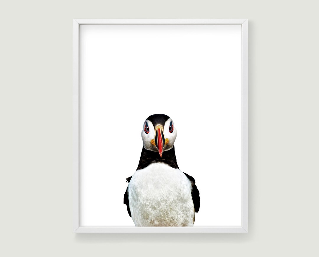 Atlantic Puffin Art Downloadable Nursery Prints. Puffin Print - Etsy