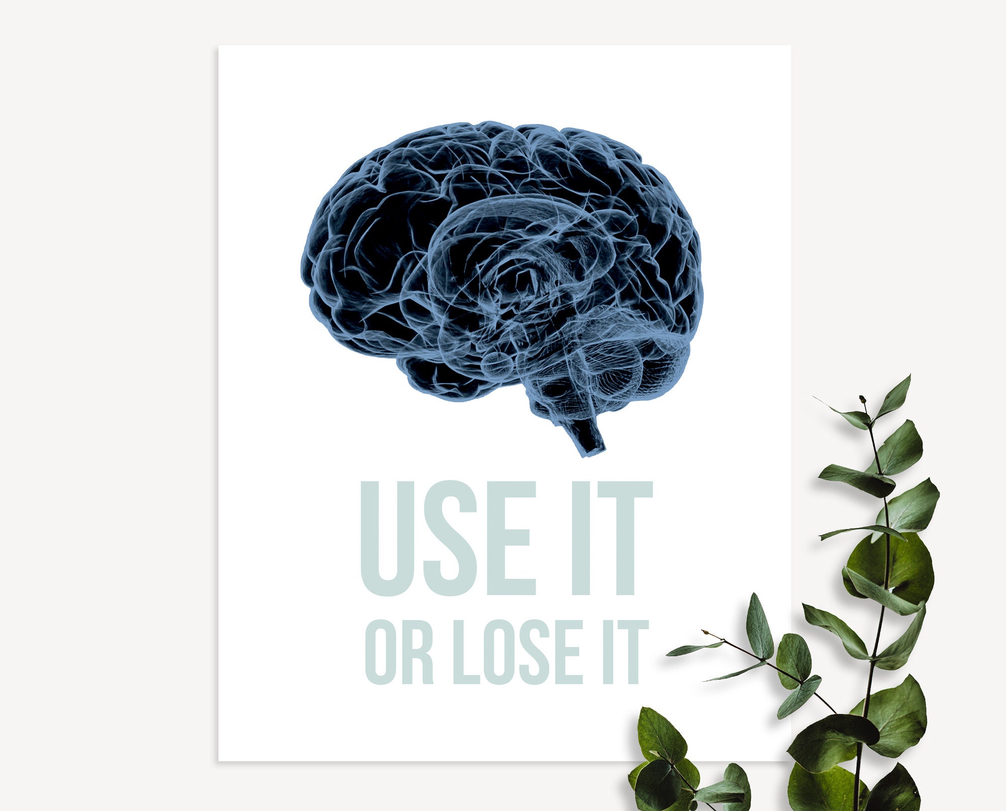 A Printable Brain Poster Makes a Great Medical Student Gift. - Etsy