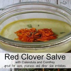 Red Clover Tops Whole Organic Dried Herbs Herbal Herbalism Aromatherapy ...