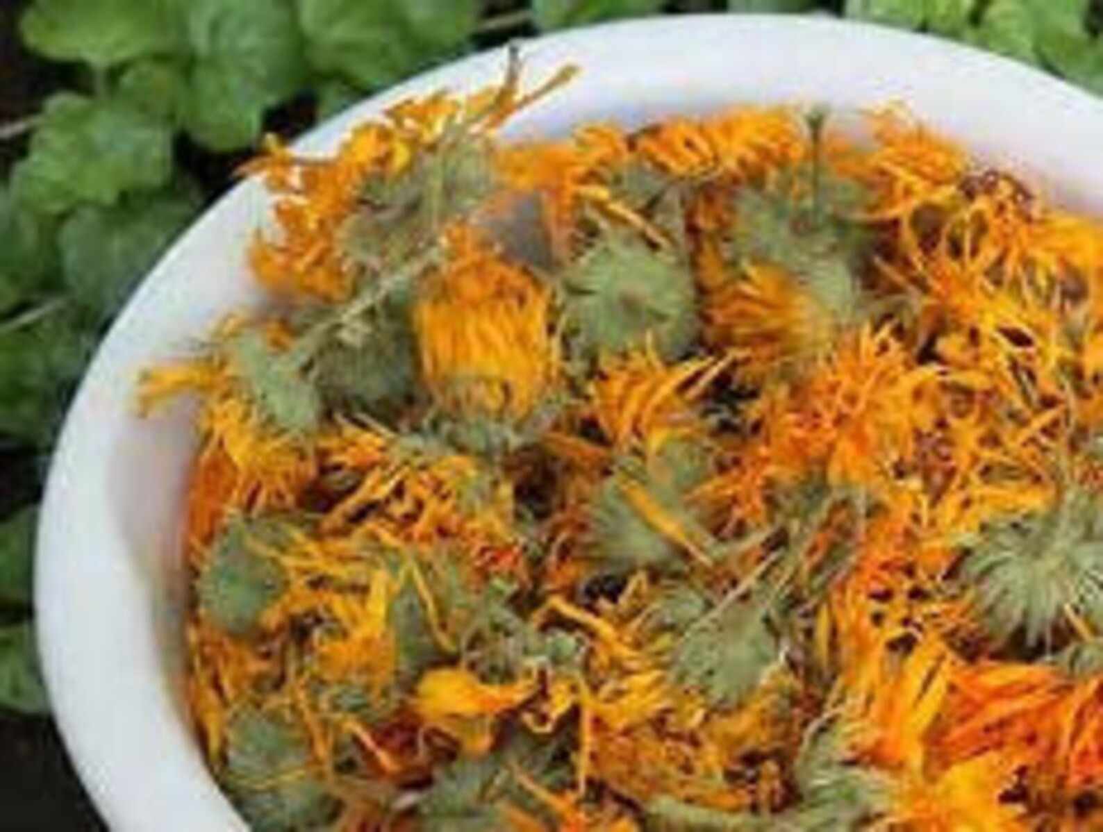Calendula 1oz Dried Calendula Organic Dried Herbs | Etsy