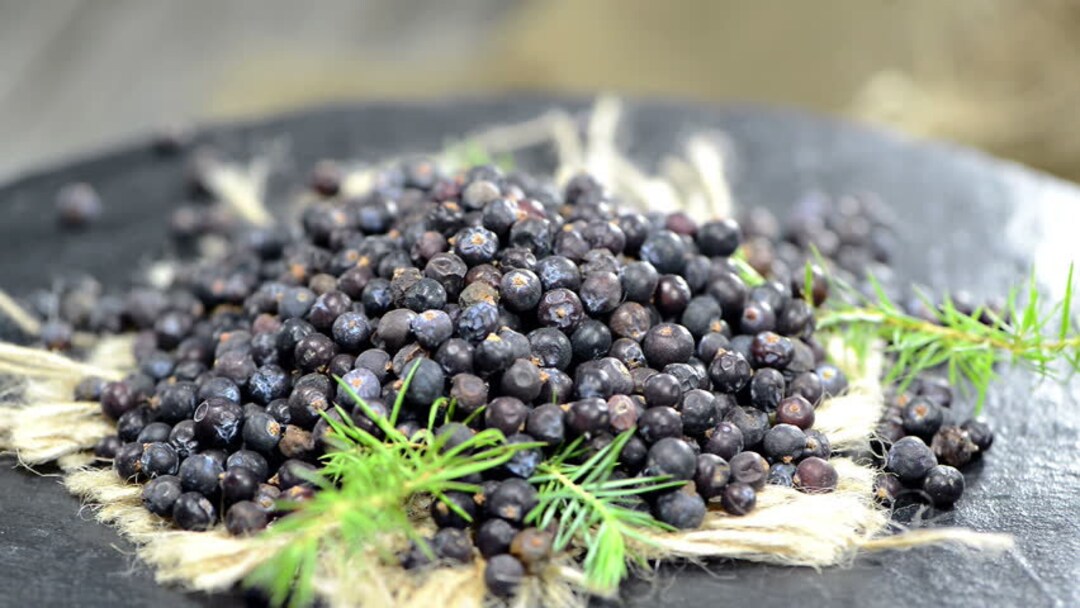 Juniper Berries Dried Organic Natural Herbs Dried Herbs Botanical ...