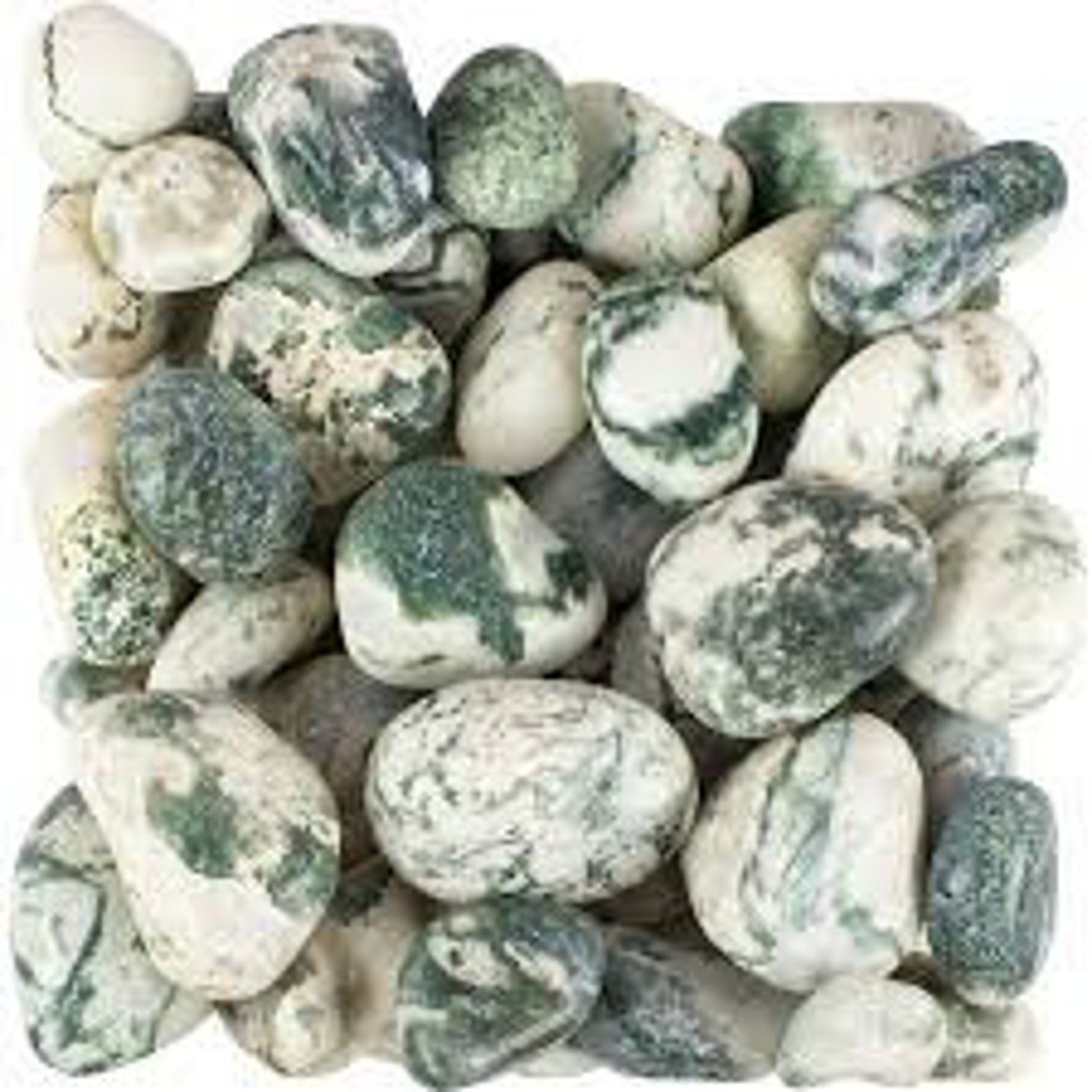 Tree Agate Tumbled Stone Gemstone Healing Chakra Stones - Etsy