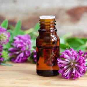 Red Clover Tops Whole Organic Dried Herbs Herbal Herbalism Aromatherapy ...
