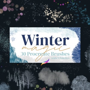 Winter Magic Procreate Brushes and Swatches for Procreate App on iPad ...