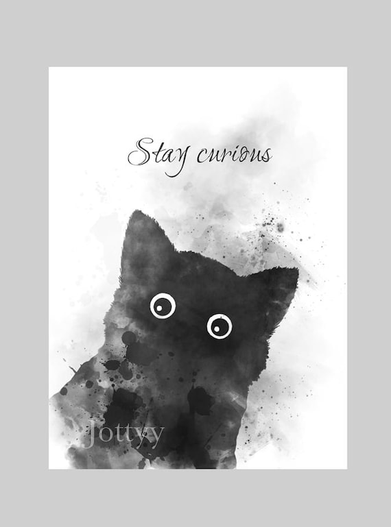 Curious Cat Quotes 🐱 It's Answer Your Cat's Questions Day! 🐱