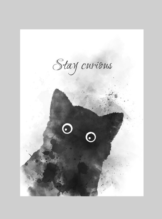 Stay Curious Cat Quote ART PRINT Animal Gift Wall Art Home | Etsy