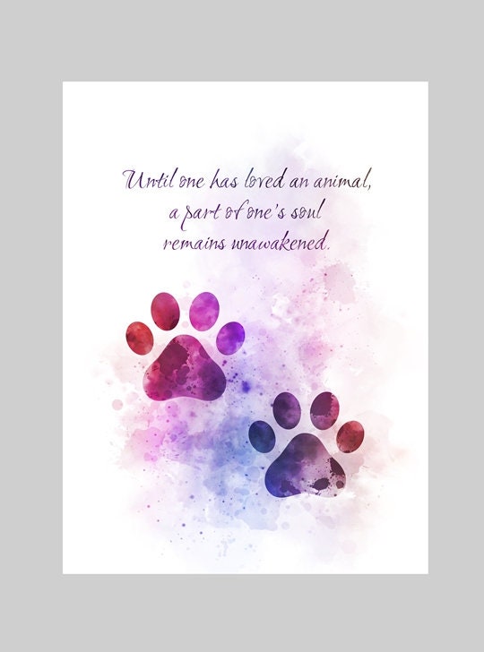 Paw Prints Animal Quote ART PRINT Cat, Dog, Pet, Love, Inspirational ...