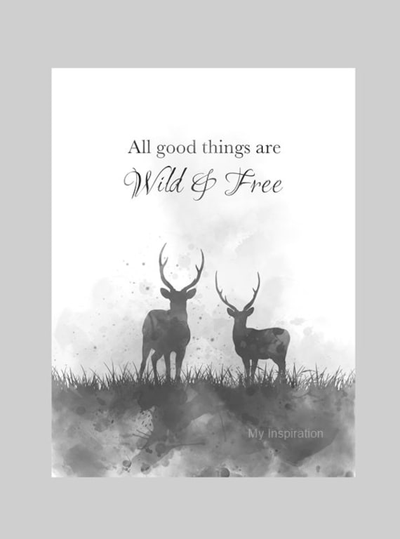 Great Stag Quotes