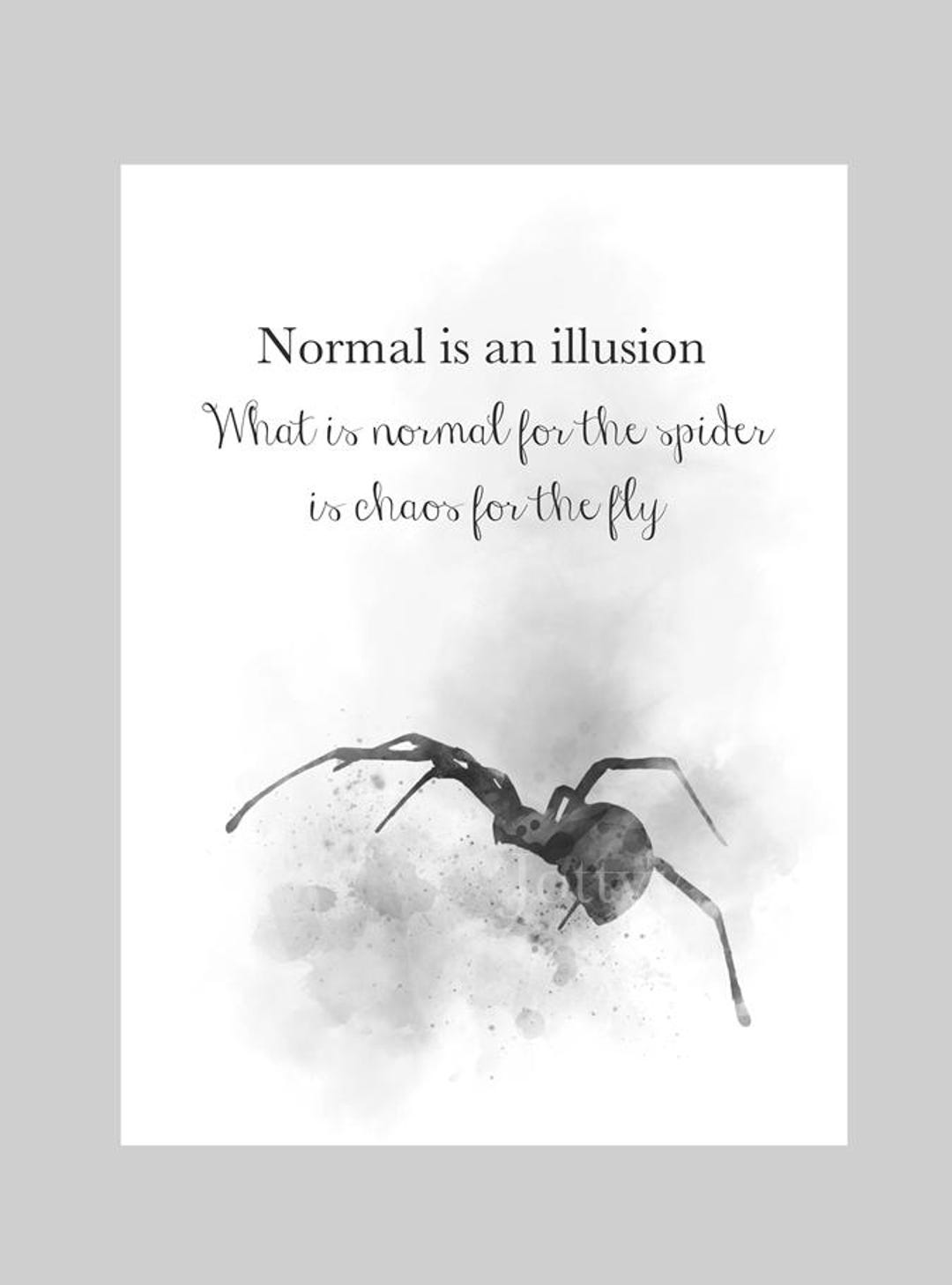 Normal is an Illusion. What is Normal for the Spider is Chaos for the ...