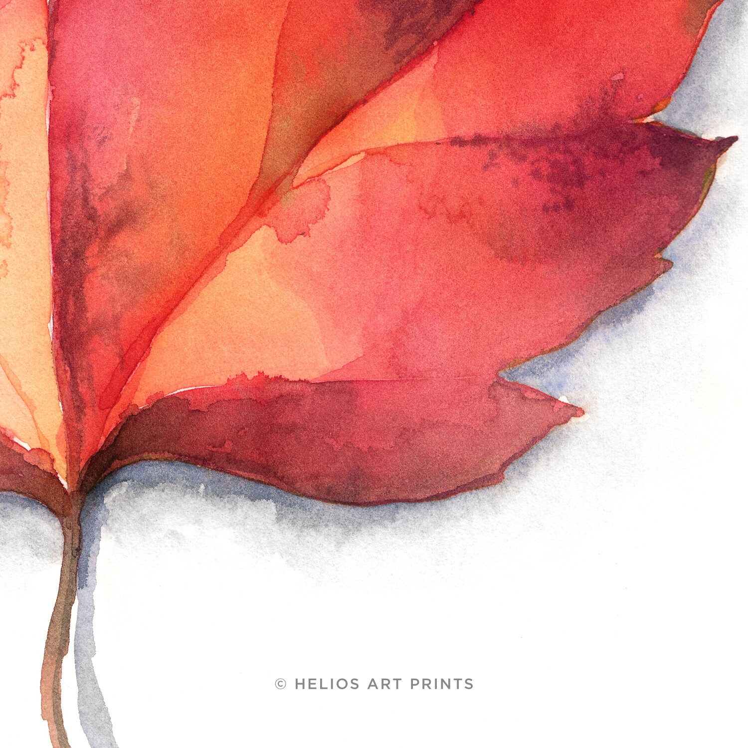 Watercolor Fall Leaf in Intense Red, Gold, Copper and Scarlet ...