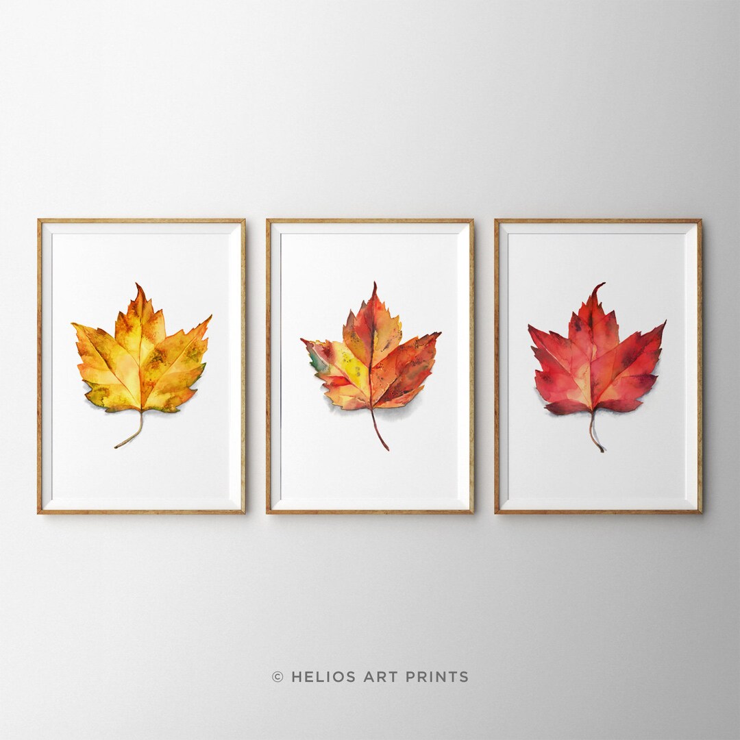 Set of 3 Fall Leaf Watercolor Prints. Three Piece Watercolour Autumn ...