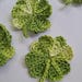 6 Hand Crochet Cotton Clovers ,4 Leaved Multicolor Green Clover ...