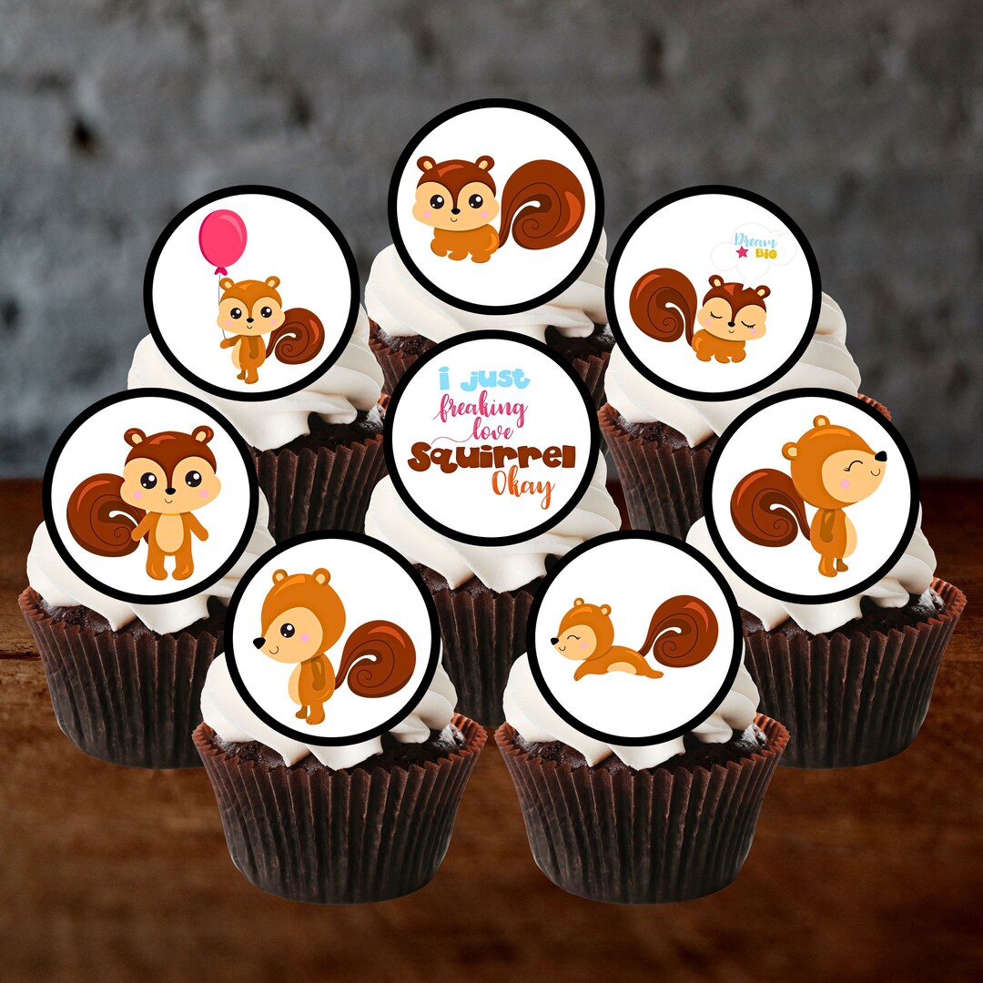 Squirrel Edible Cake Decorations PRECUT Optional Cute Squirrel Cupcake ...
