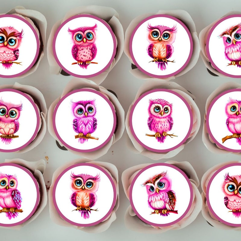 Owl Cupcake Toppers - Etsy