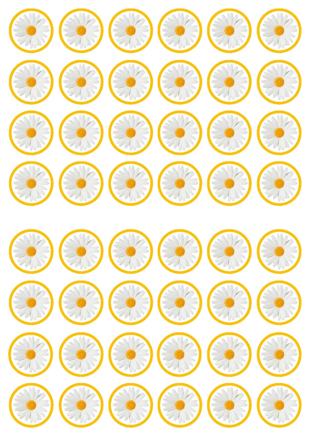 48 Daisy Flower Edible Mini Cupcake Toppers PRECUT Optional Wafer Card ...