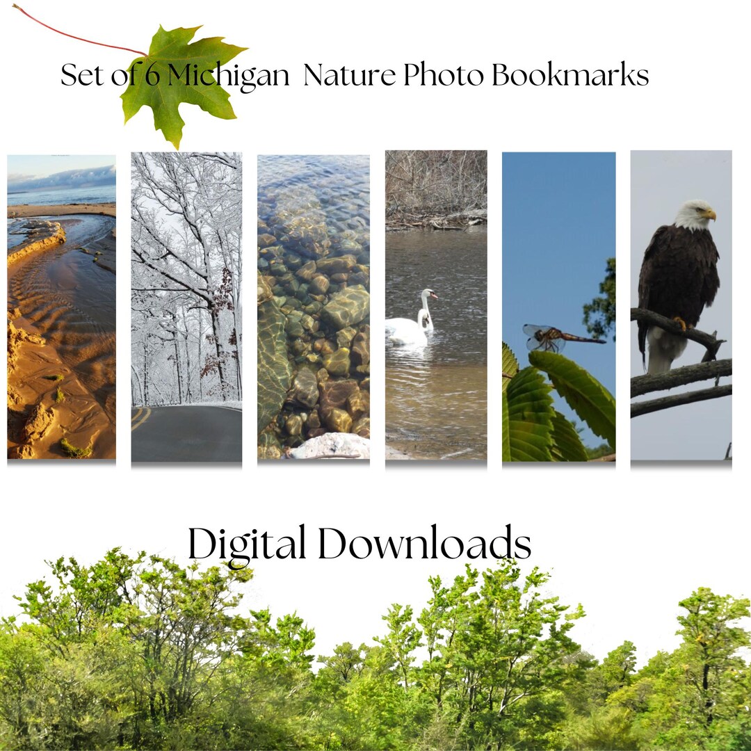 Nature Bookmark, Original Photographs, Michigan Photos, Holiday Gift ...