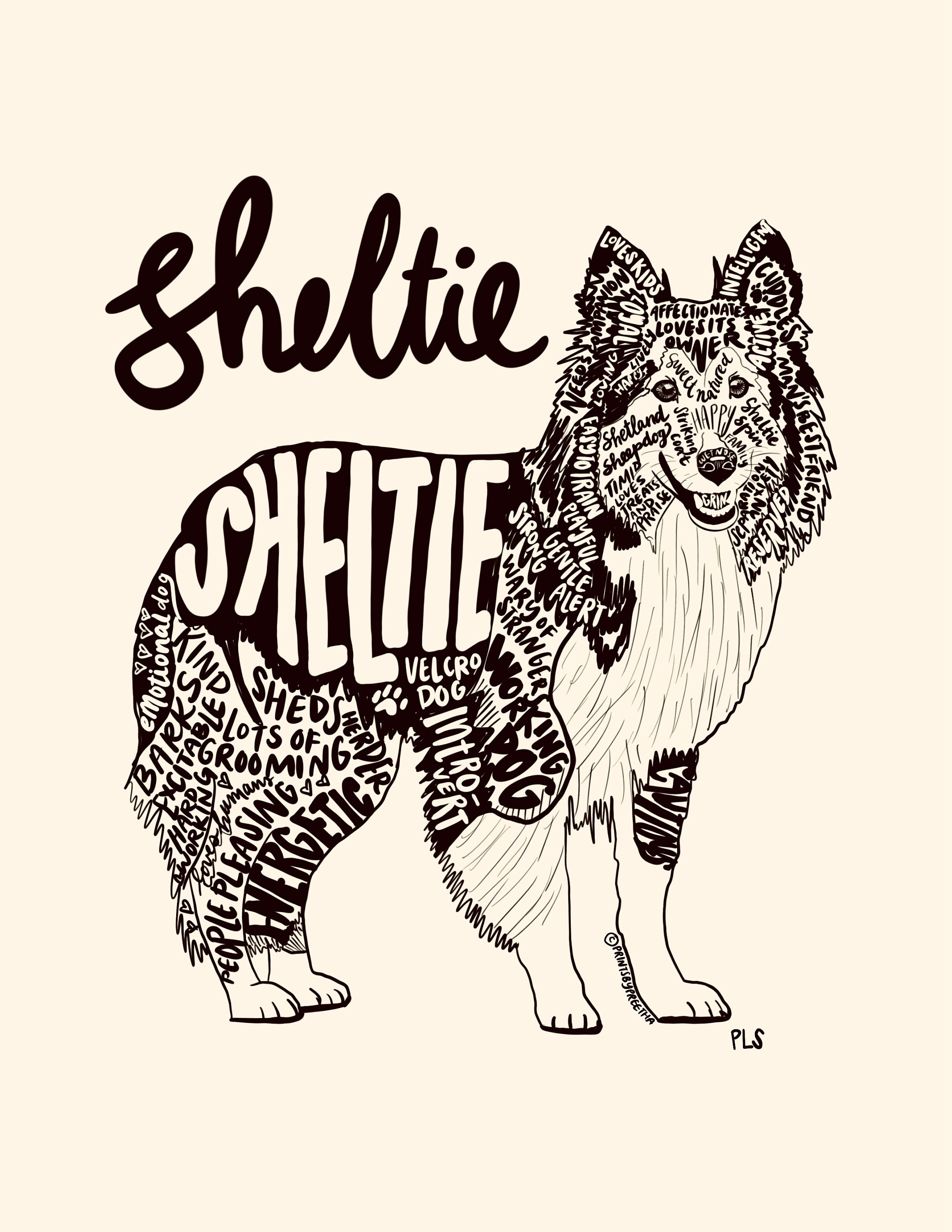 Sheltie Art Print Sheltie Gift | Etsy