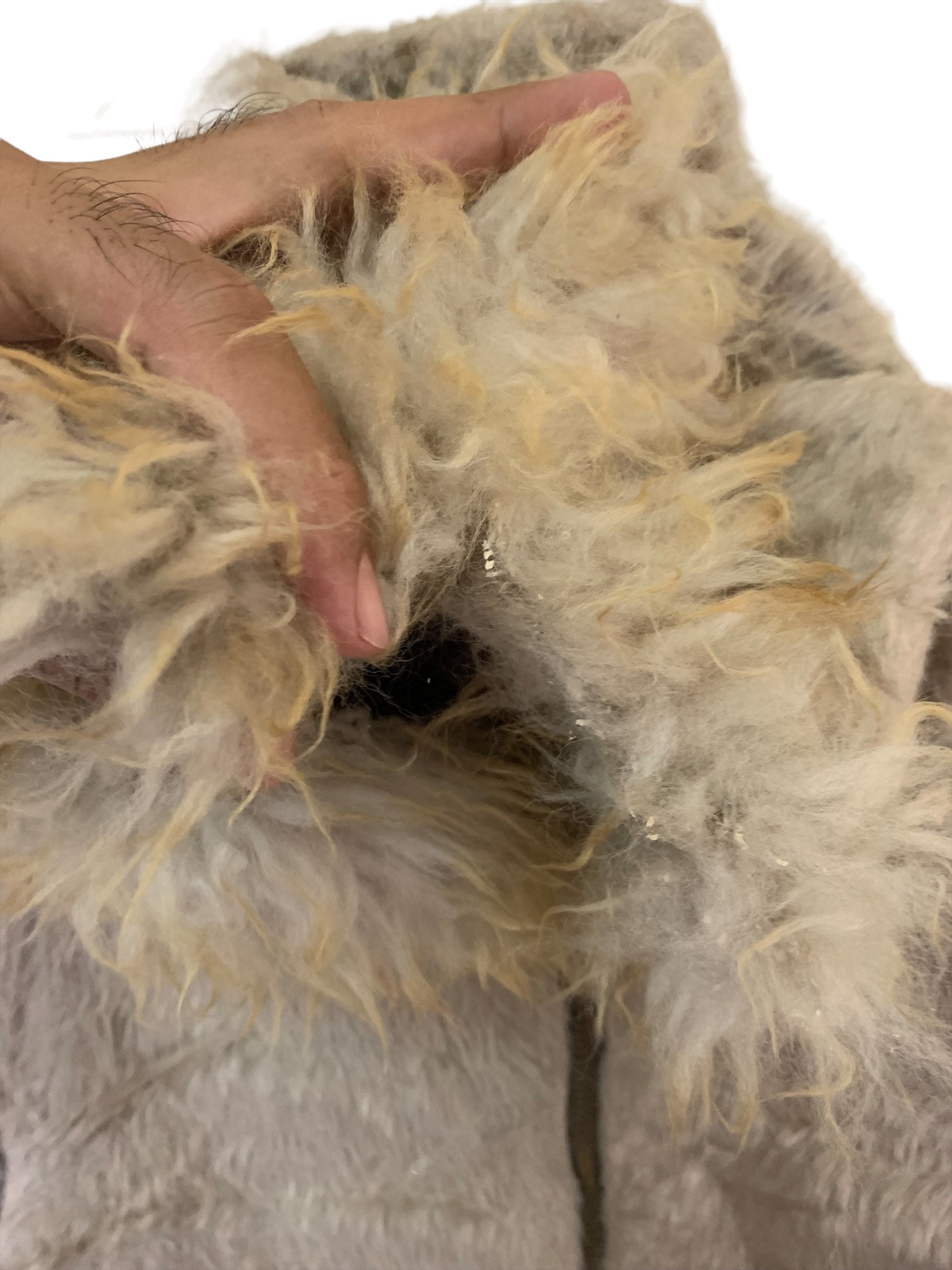 Vintage 80s Fur Jacket Retro Jacket Fashion Abbot Zipper Rare - Etsy