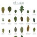 Oak Leaves Poster - Digital Version - Etsy