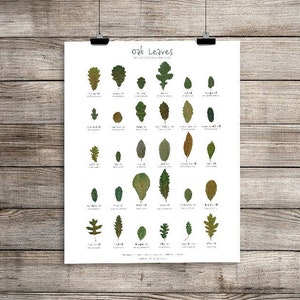 Oak Leaves Poster - Digital Version - Etsy