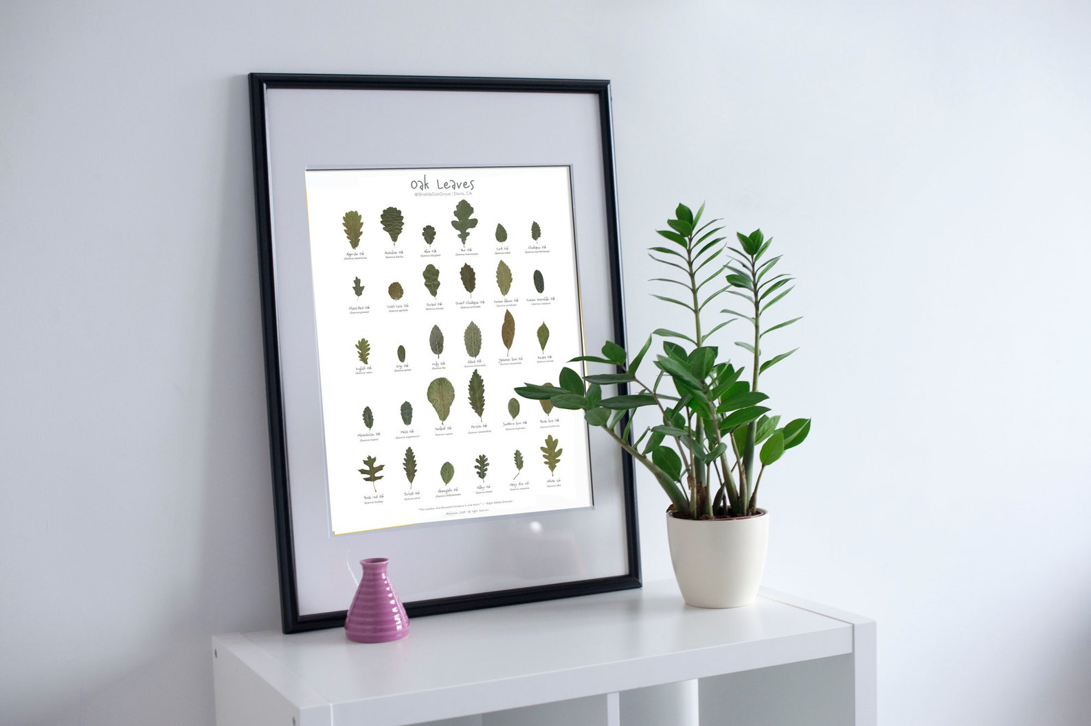 Oak Leaves Poster - Printed Version - Etsy