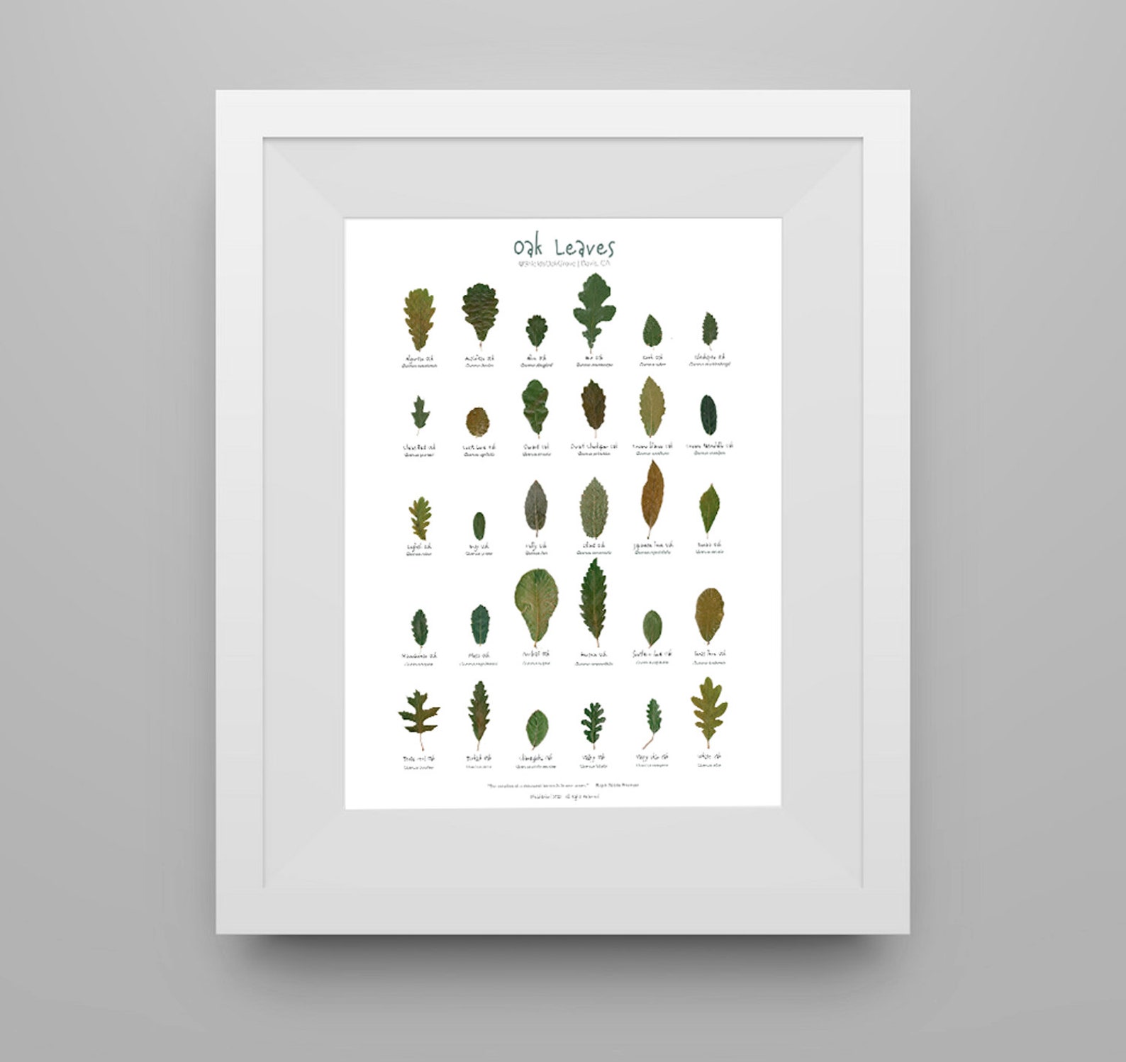 Oak Leaves Poster - Digital Version - Etsy