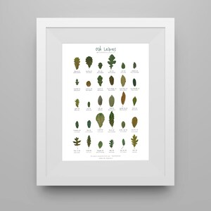 Oak Leaves Poster - Digital Version - Etsy
