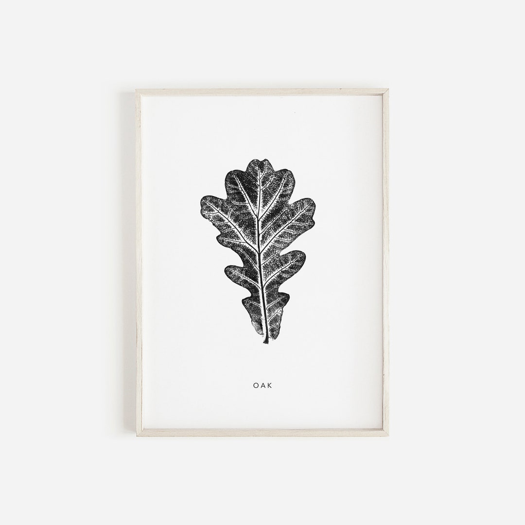 Oak Tree Leaf Art Print | Black Oak Pressed Leaf Print | Monochrome ...