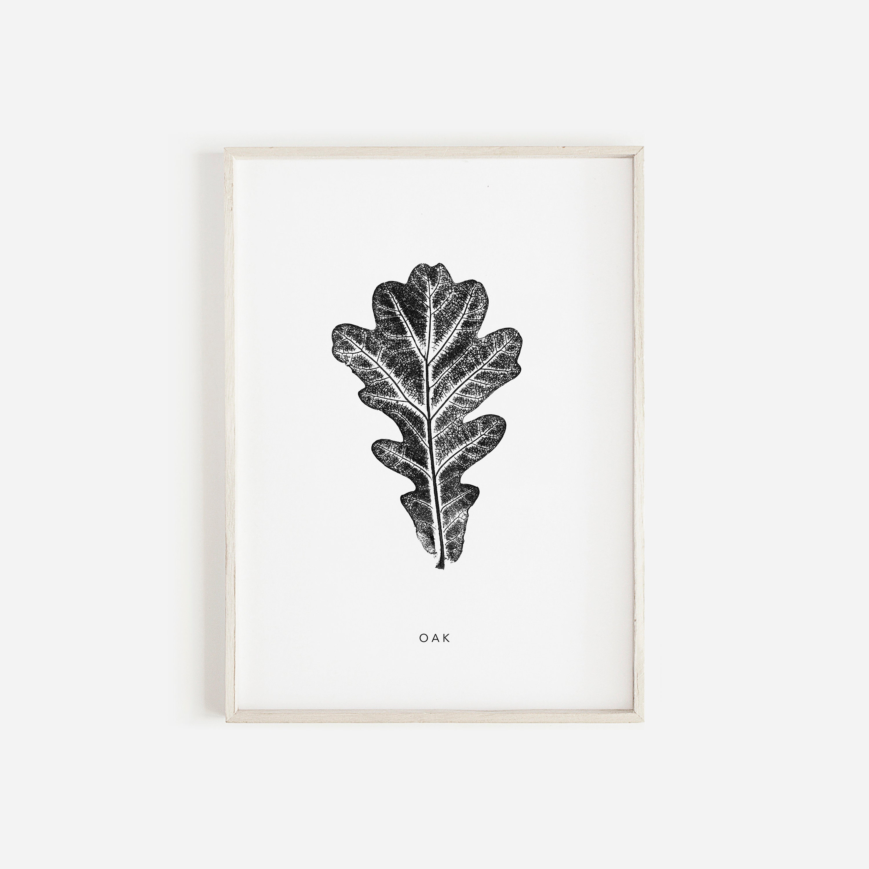 Oak Tree Leaf Art Print | Black Oak Pressed Leaf Print | Monochrome ...