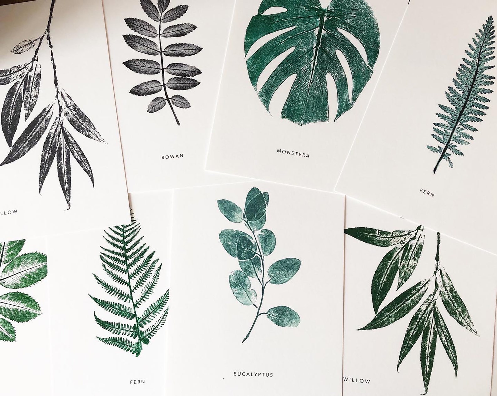 Oak Tree Leaf Art Print Black Oak Pressed Leaf Print - Etsy