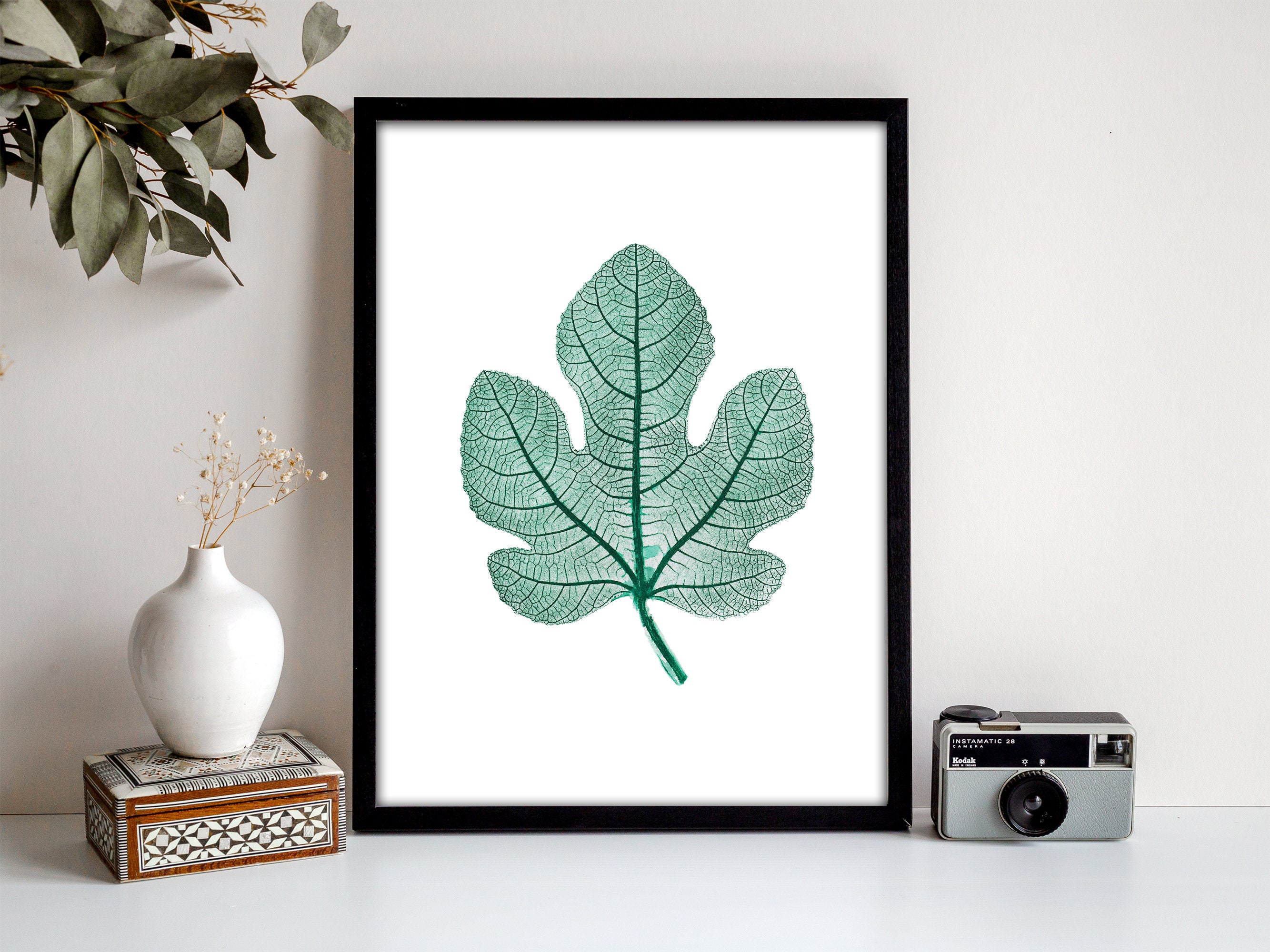 Fig Tree Leaf Art Print Green Fig Pressed Leaf Print - Etsy UK