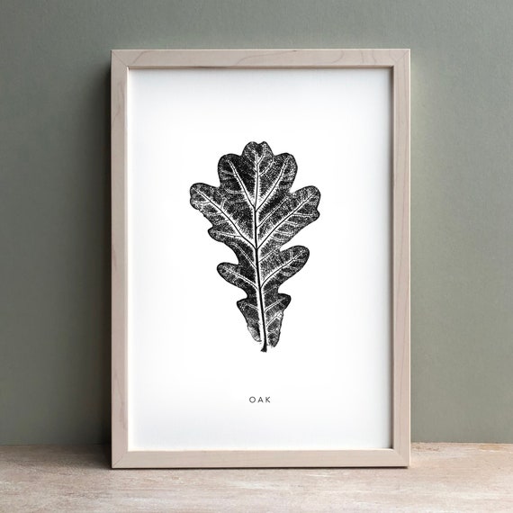 Oak Tree Leaf Art Print Black Oak Pressed Leaf Print | Etsy
