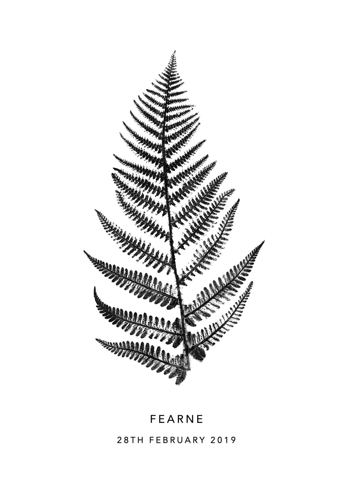 Personalised Fern Print | Fern Leaf Monoprint | Custom Name Print ...