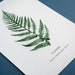Personalised Fern Print | Fern Leaf Monoprint | Custom Name Print ...