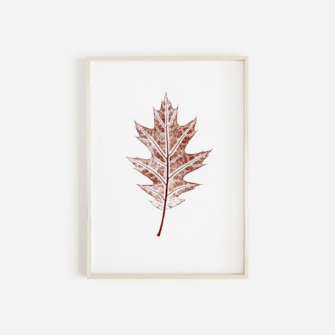 Northern Red Oak Tree Leaf Art Print | Autumn Oak Pressed Leaf Print ...