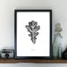 Oak Tree Leaf Art Print Black Oak Pressed Leaf Print Monochrome ...