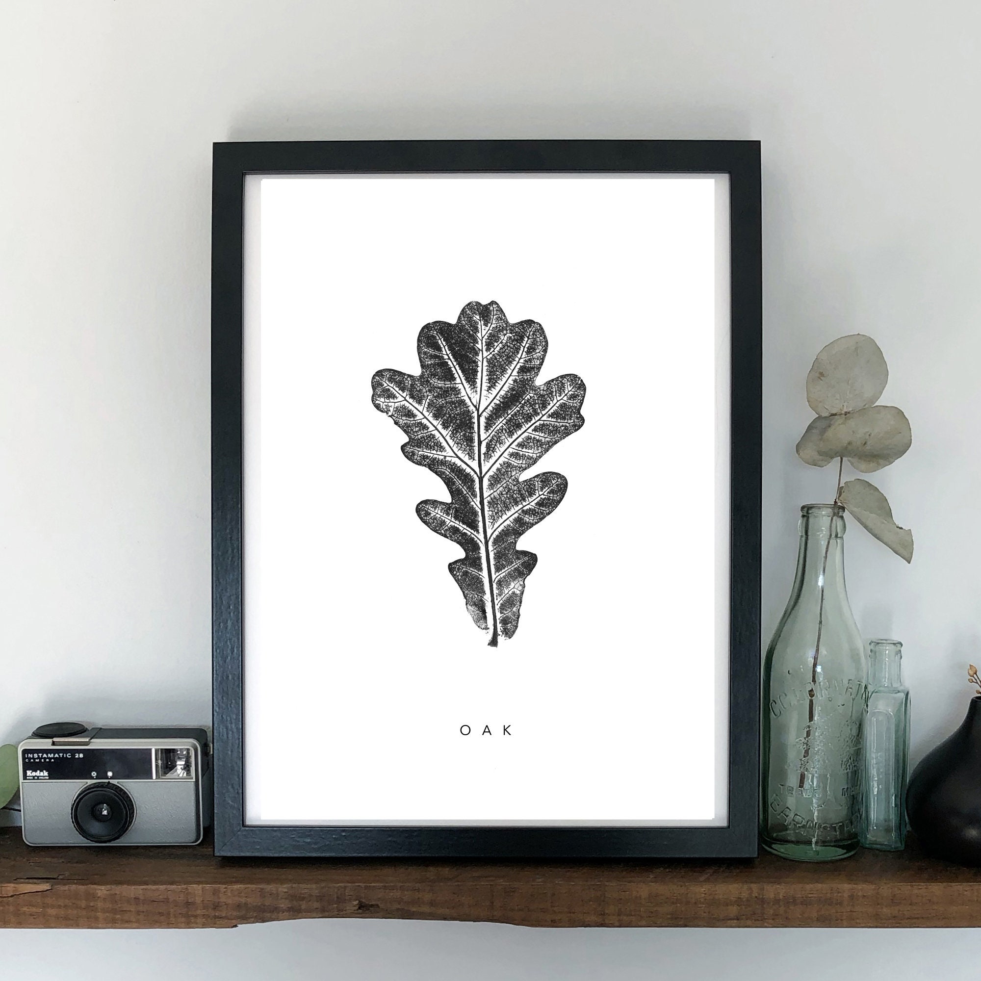 Oak Tree Leaf Art Print | Black Oak Pressed Leaf Print | Monochrome ...
